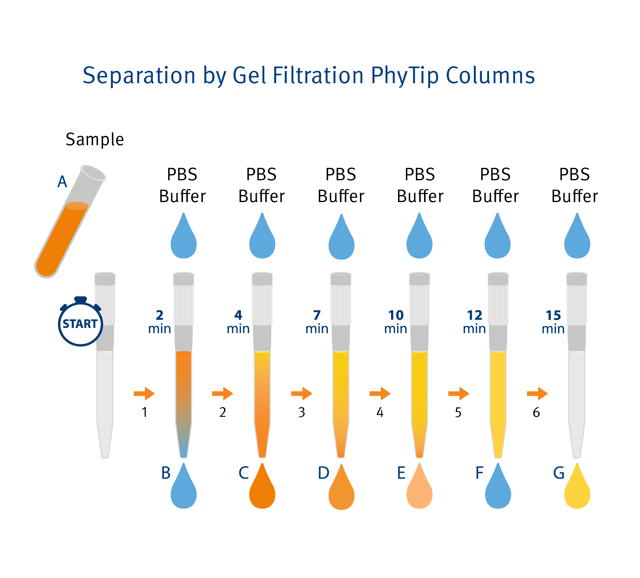 Gel filtration PhyTip columns for buffer exchange